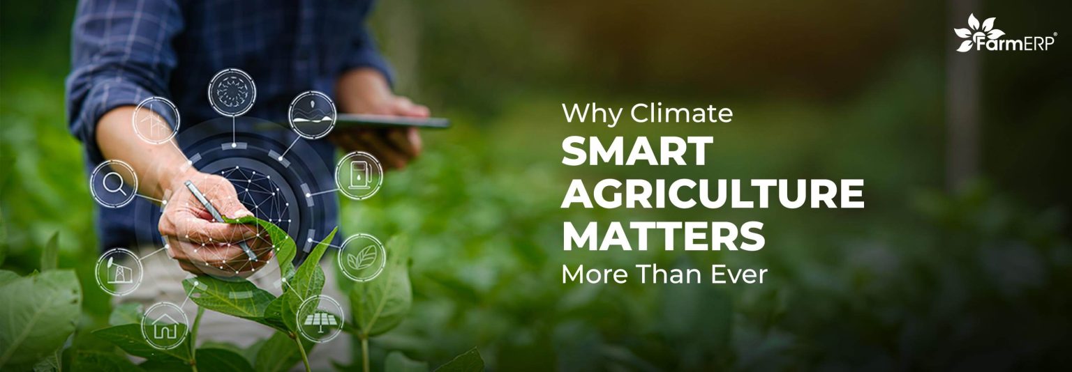 What Is Climate Smart Agriculture? Explained for Agribusiness